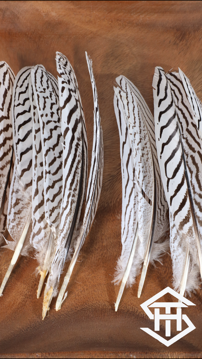 Hat Feathers – The Hat Shackk